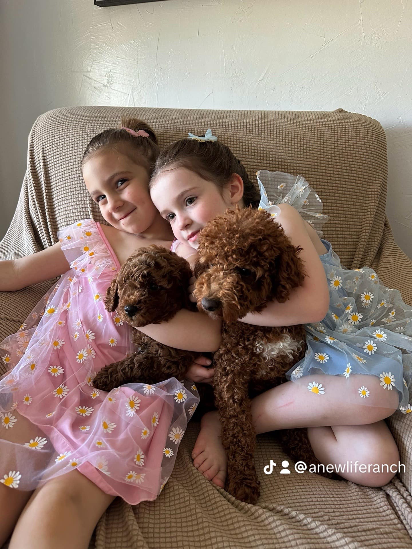 Home - A New Life Ranch